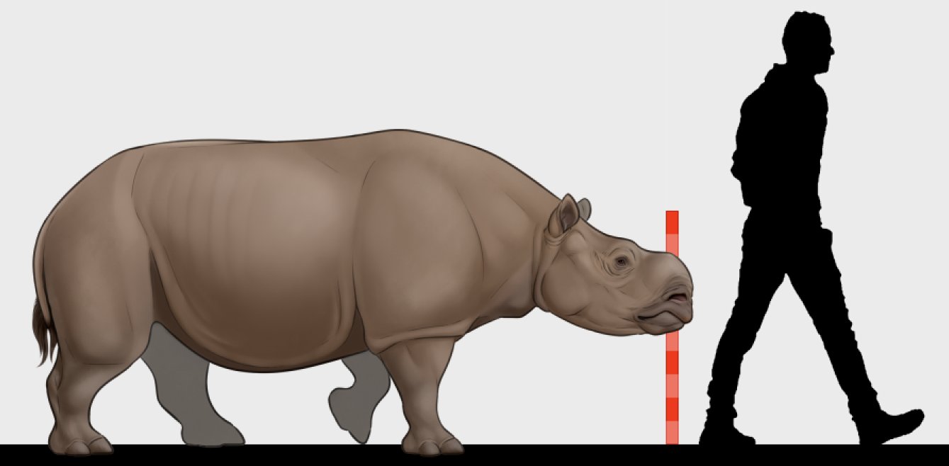 Ashfall Fossil Beds - A Pompeia da Pré-História há 12ma